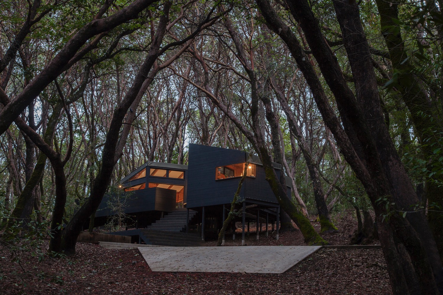 forest house | ENVELOPE